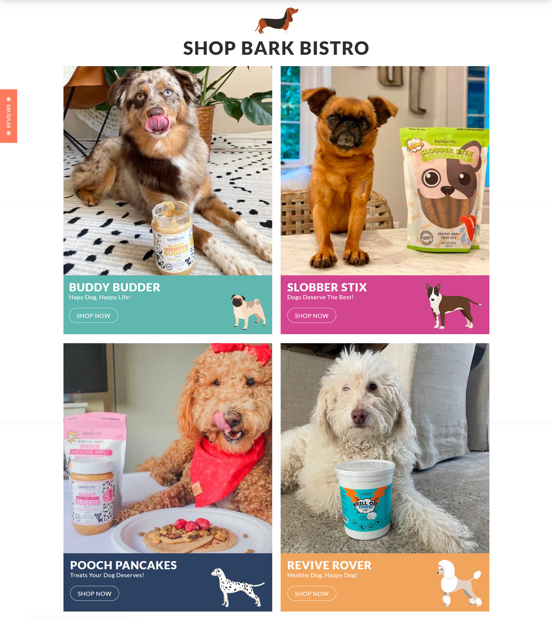 BARK BISTRO – ShakeFX – Web Design, Graphic Design, Marketing